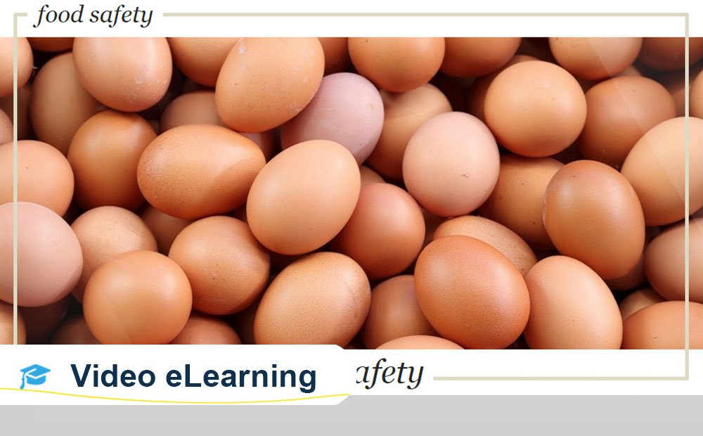 Egg Safety | Channel1