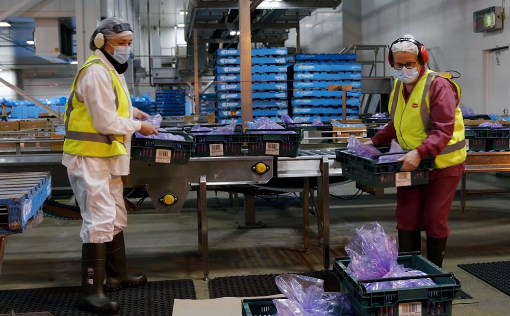 The Easy Guide to Manual Handling | Channel1