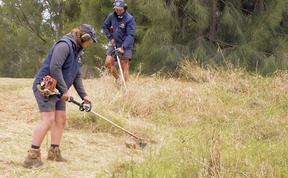 The Easy Guide to Outdoor Power Tools | Channel1